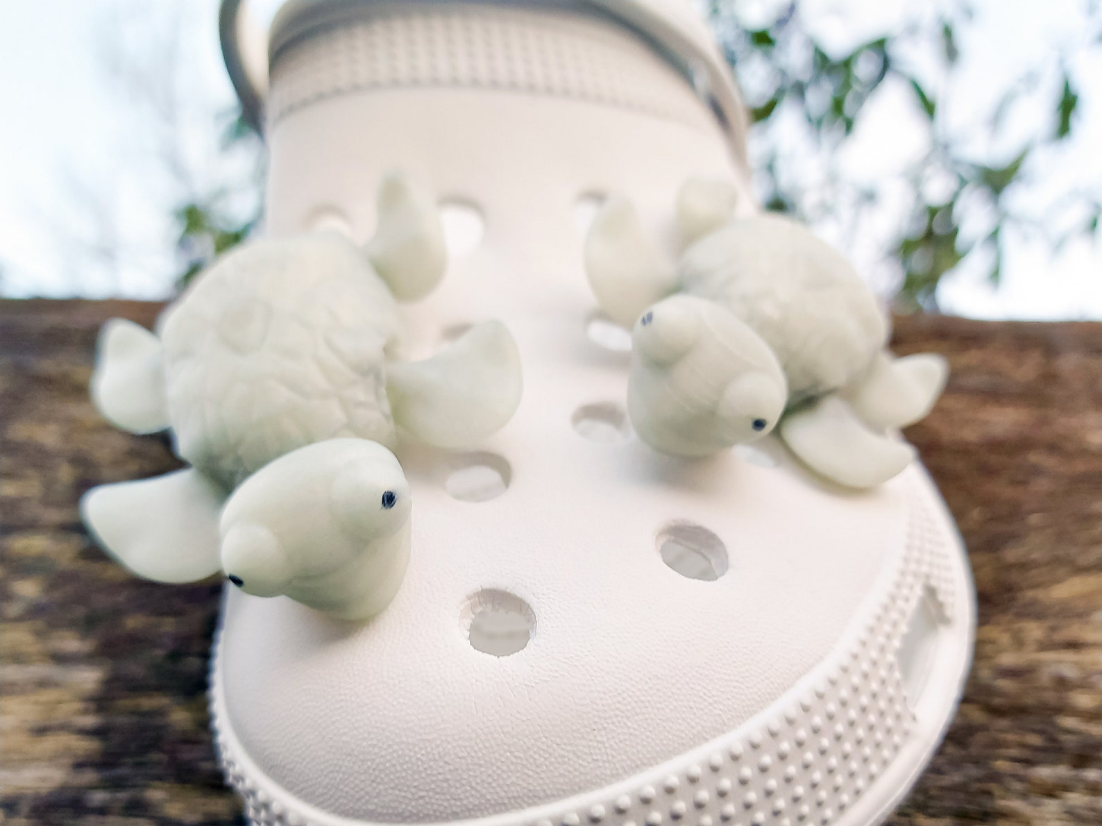 Glow in the Dark Turtle Crocbuddy 3D Jibbitz Luminous Shoe Charms - Etsy