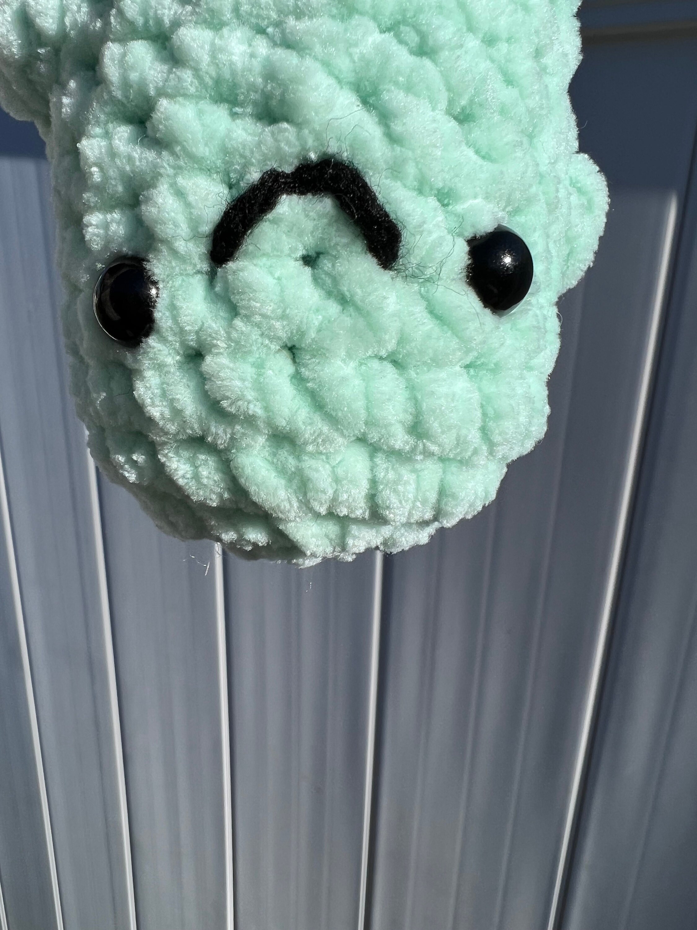 Pickle Plushie Crochet Squishy Friend Made to Order - Etsy