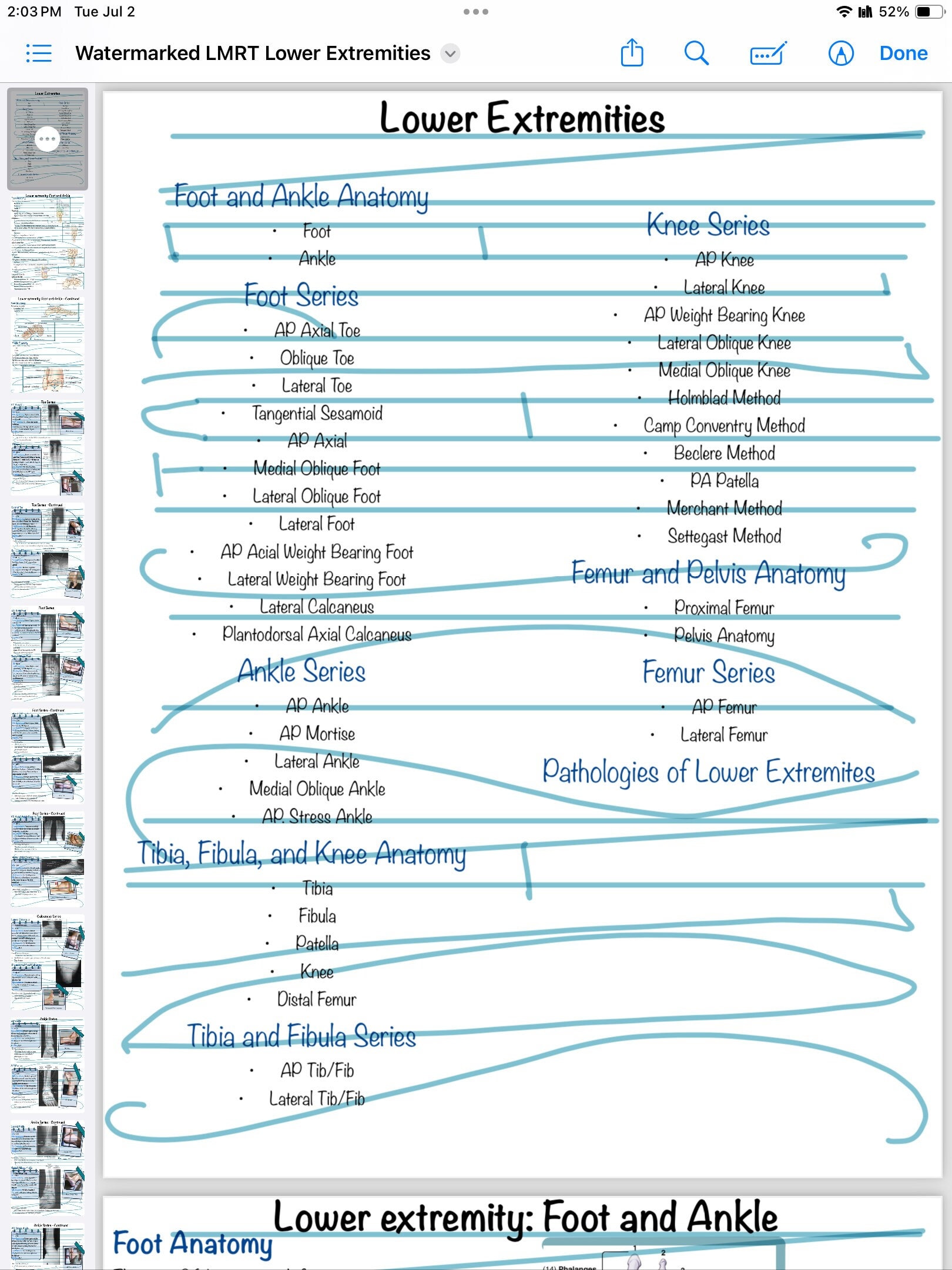 LMRT Lower Extremities Review - Etsy