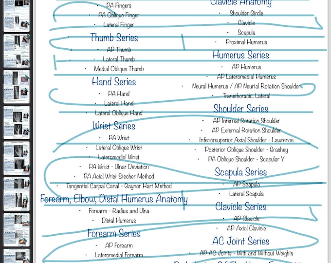 Upper Extremities LMRT Review Guide - Etsy