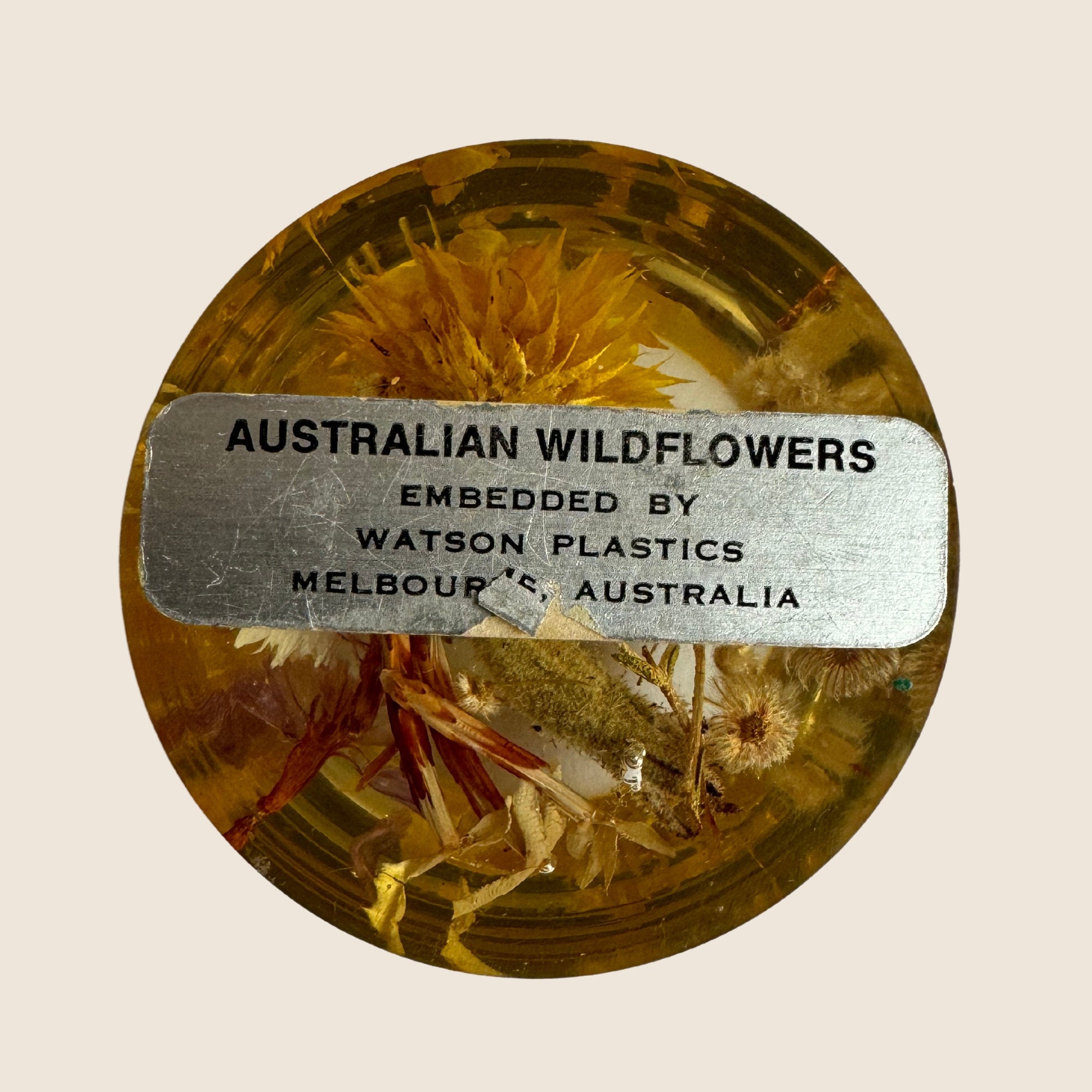 Vintage Preserved Flower Lucite Paperweight Australia - Etsy