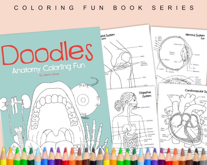 Hand-drawn Anatomy Coloring Book: Educational Fun - Etsy