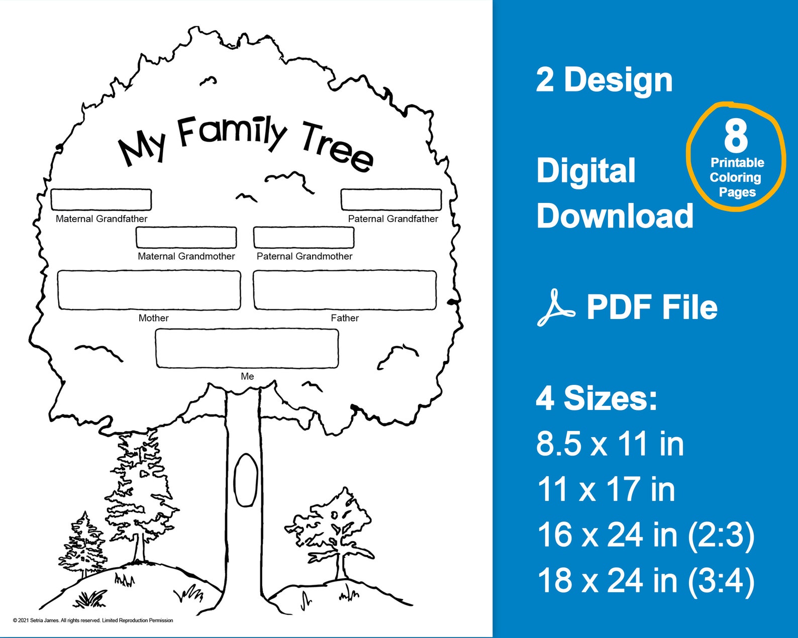 Family Tree Poster Blank Family Tree School Posters PDF Family Tree ...
