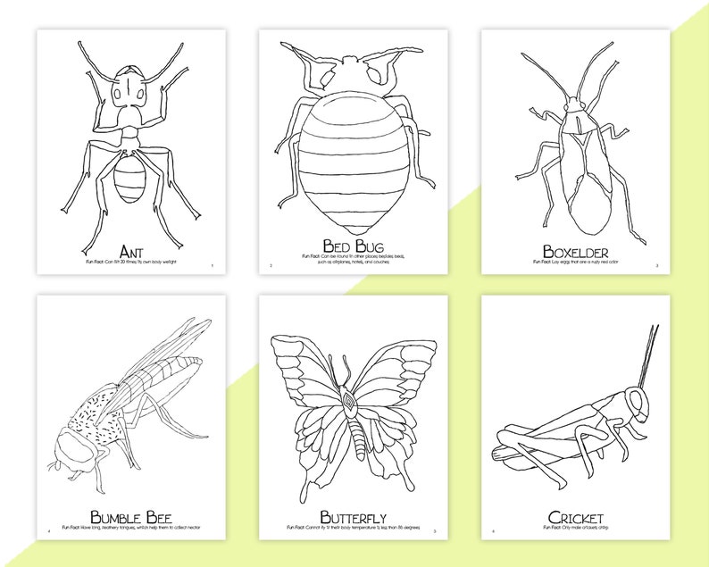 Doodle Insect Coloring Fun Coloring Art Creation Insect Coloring Book ...