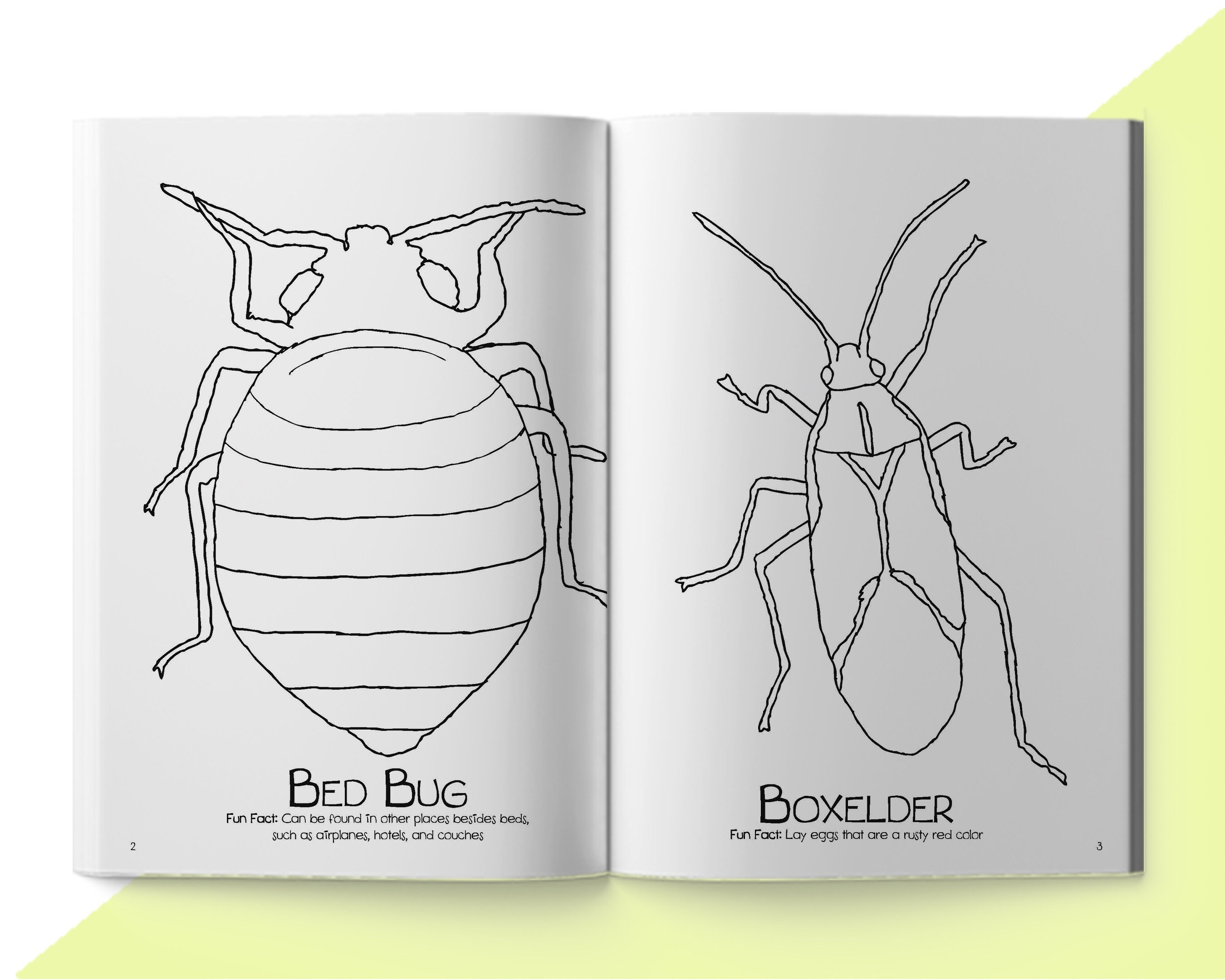 Doodle Insect Coloring Fun Coloring Art Creation Insect Coloring Book ...