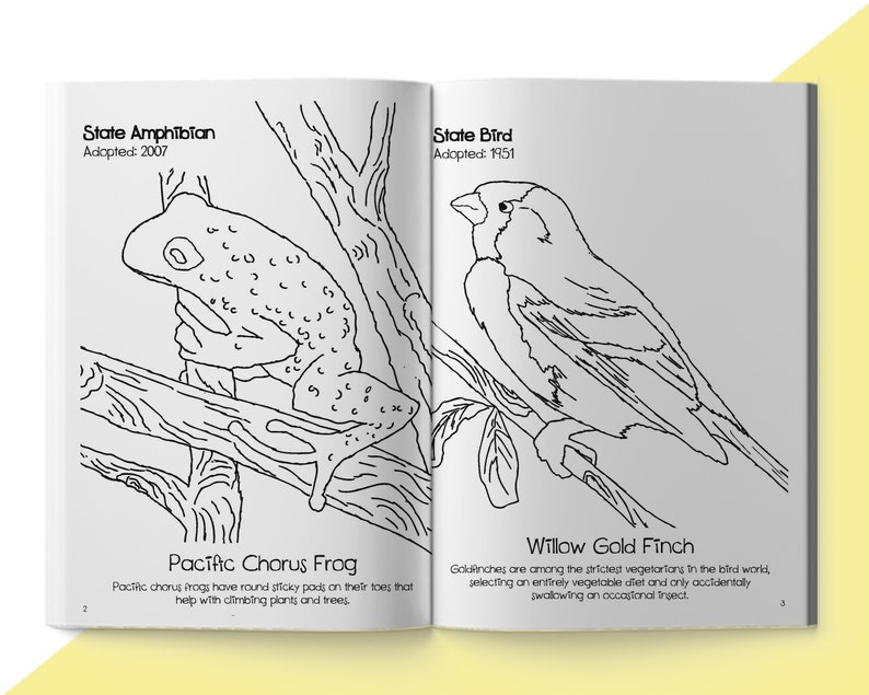 Doodles Evergreen State Coloring Fun Washington State Art Travel Guide ...