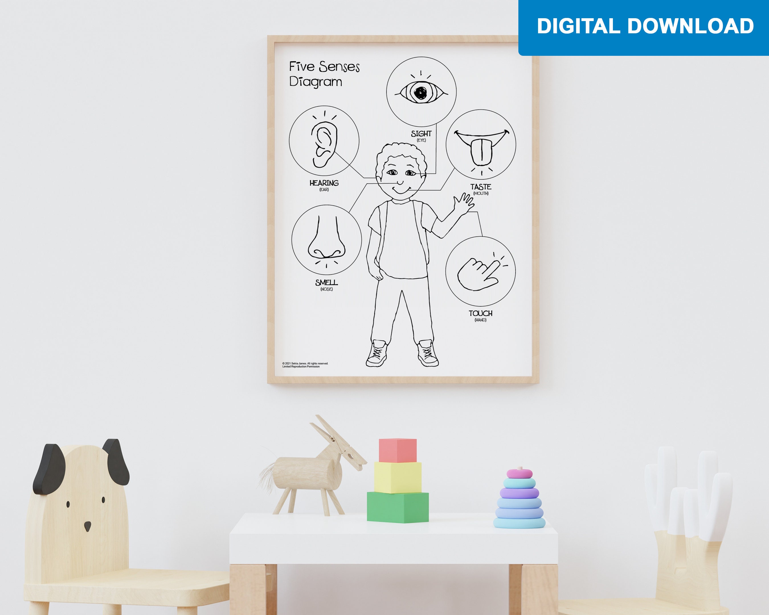5 Senses Poster Diagram Teacher Poster Decor Digital Download Five ...