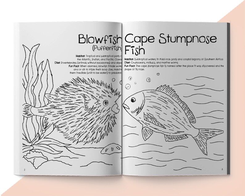 Doodles Sea Life Coloring Fun Sea Coloring Book Coloring Art Creation ...