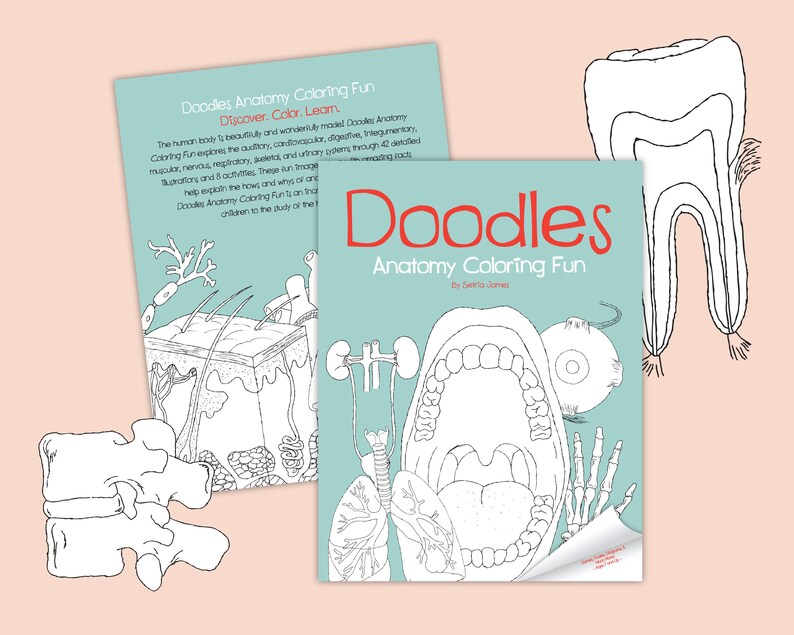 Hand-drawn Anatomy Coloring Book: Educational Fun - Etsy