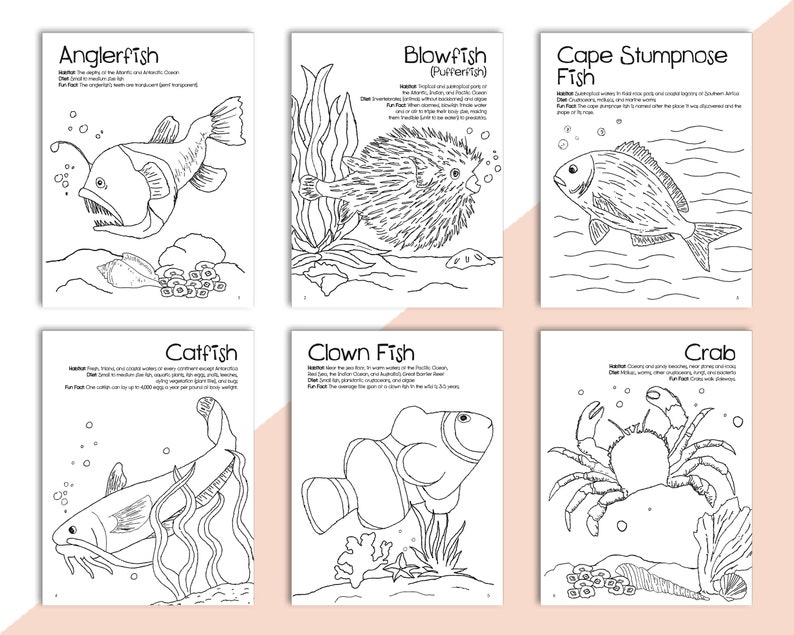 Doodles Sea Life Coloring Fun Sea Coloring Book Coloring Art Creation ...