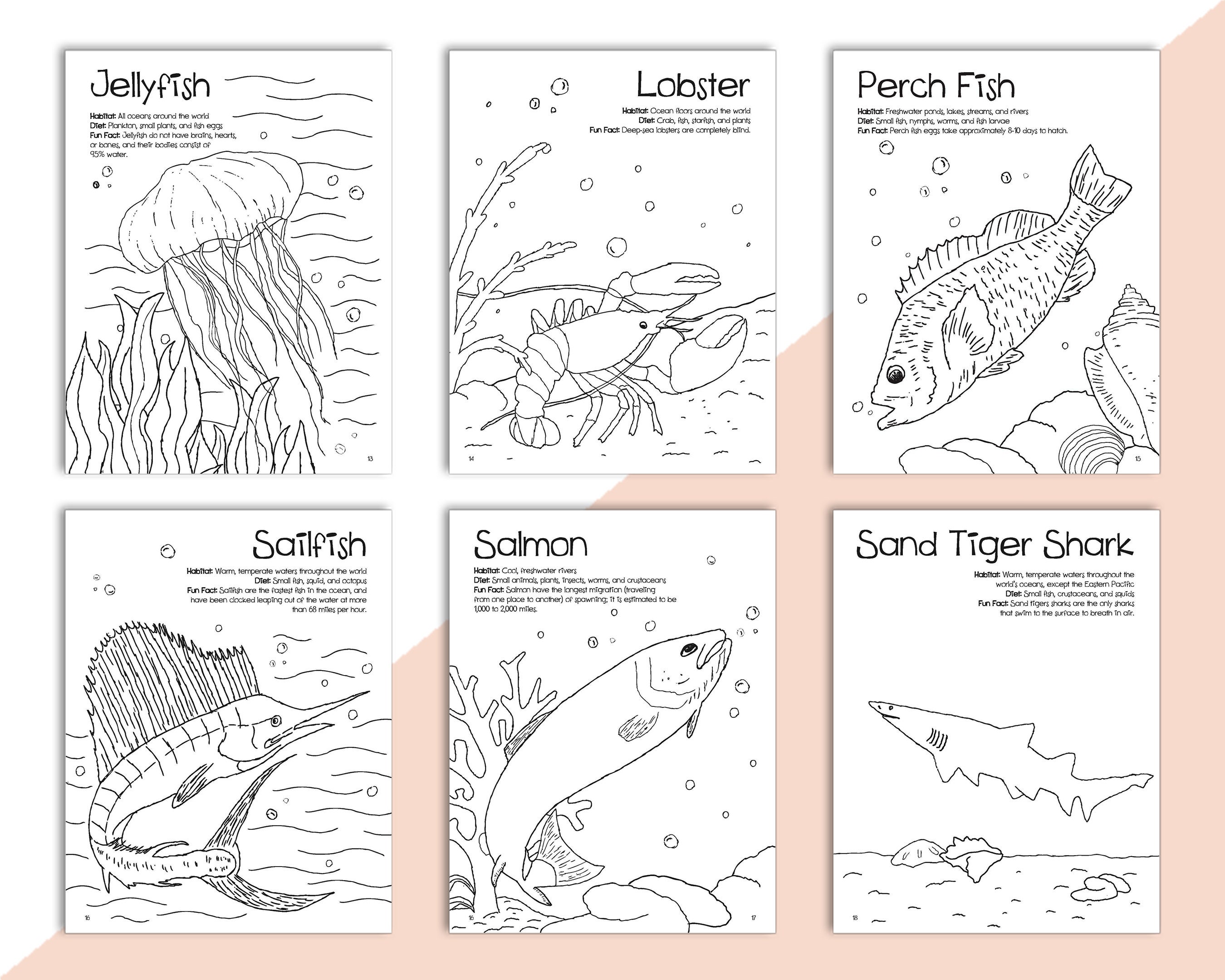 Doodles Sea Life Coloring Fun Sea Coloring Book Coloring Art Creation ...