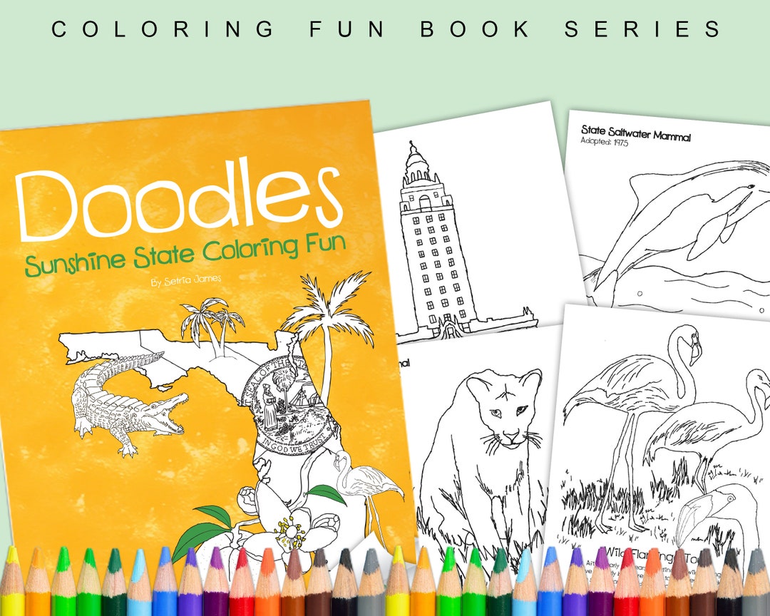 Florida Coloring Book: Hand-drawn Sunshine State Travel Guide - Etsy