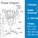 Flower Diagram Poster: Anatomy Coloring Page (digital Download) - Etsy ...