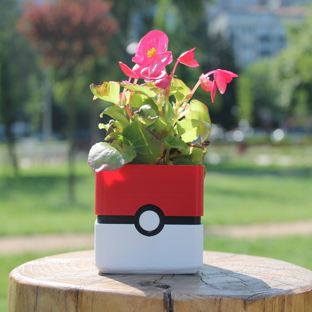 Pokemon Pokeball Succulent Planter, Cute Gift for Pokemon Fan, Pokeball ...
