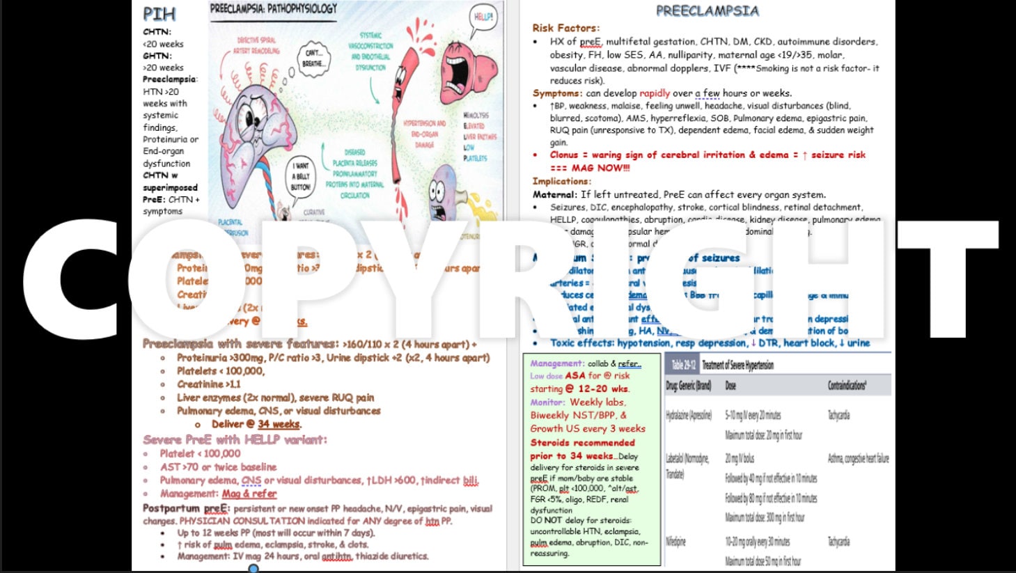 Obstetric, Gynecology, & Newborn Pocket Brain / Study Guide - Etsy