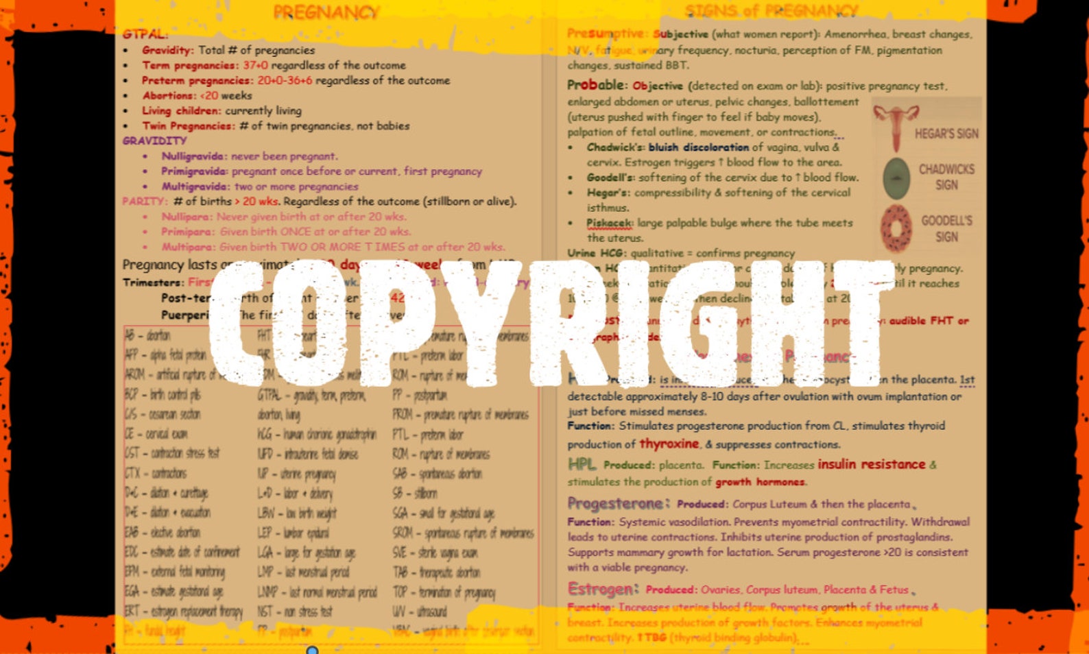 Obstetric, Gynecology, & Newborn Pocket Brain / Study Guide - Etsy