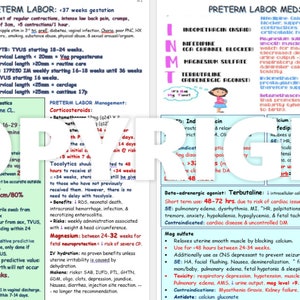 Obstetric, Gynecology, & Newborn Pocket Brain / Study Guide - Etsy