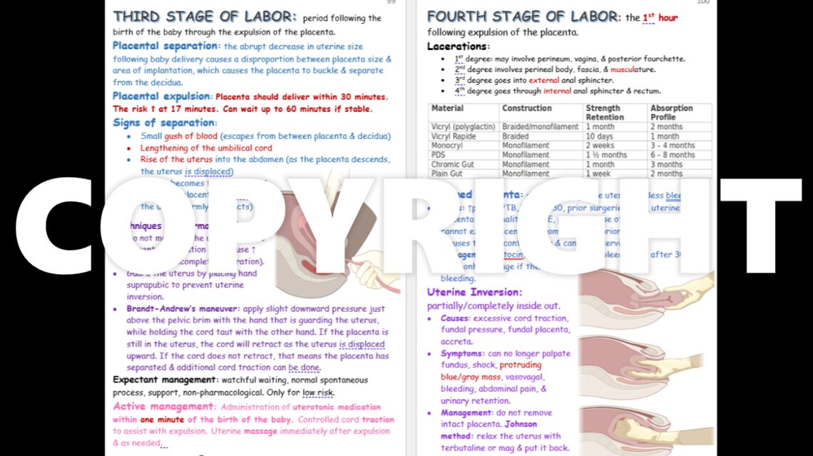 Obstetric, Gynecology, & Newborn Pocket Brain / Study Guide - Etsy