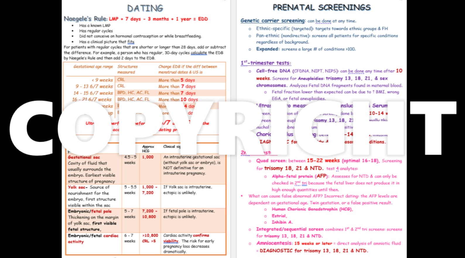 Obstetric, Gynecology, & Newborn Pocket Brain / Study Guide - Etsy