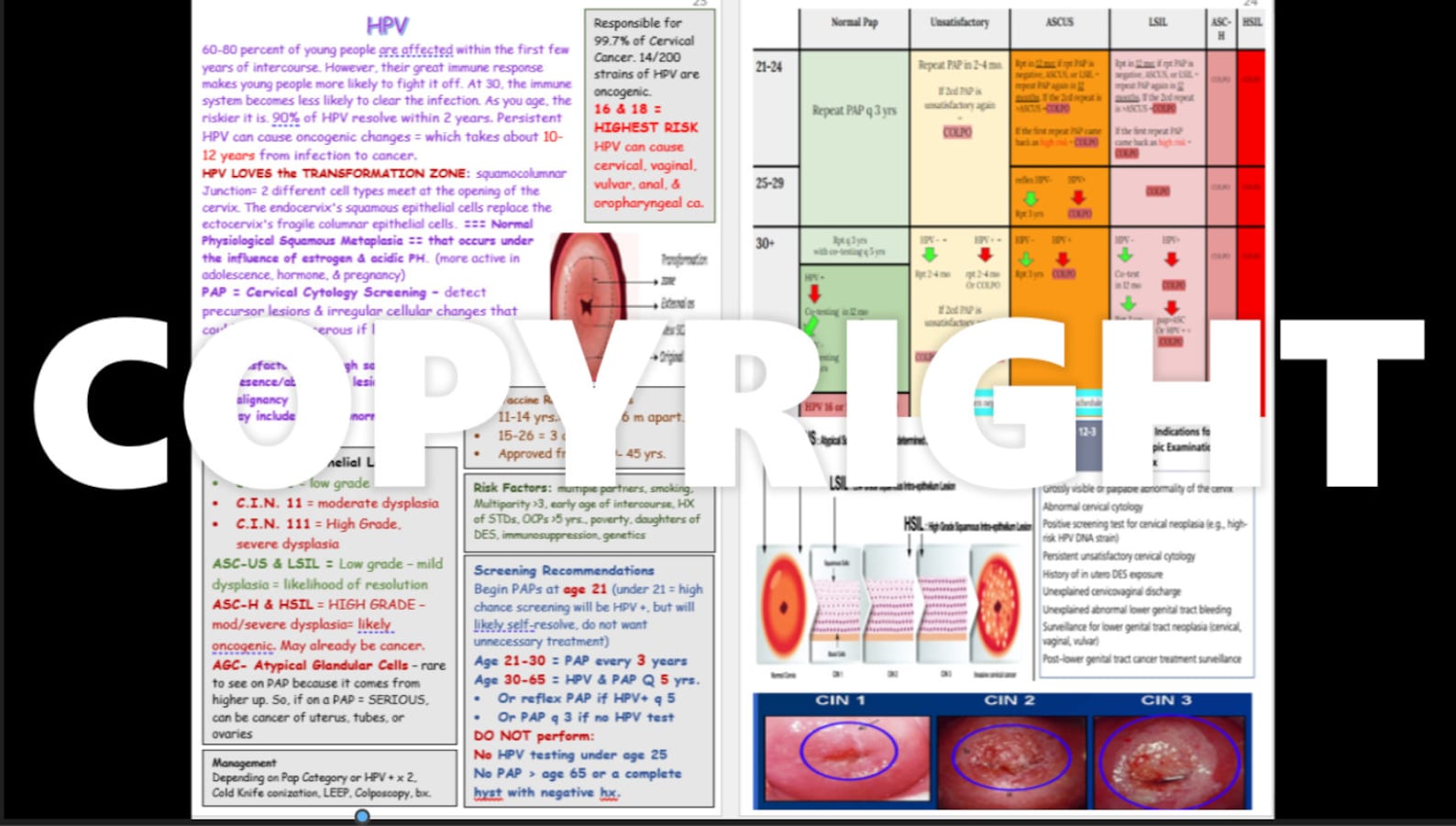 Obstetric, Gynecology, & Newborn Pocket Brain / Study Guide - Etsy