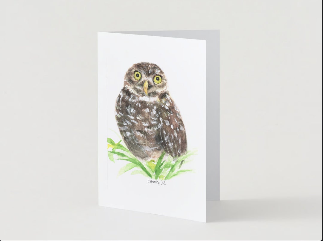 Bird Photography, Teacher Note Cards, Owl Note Cards, Bird Note Cards ...