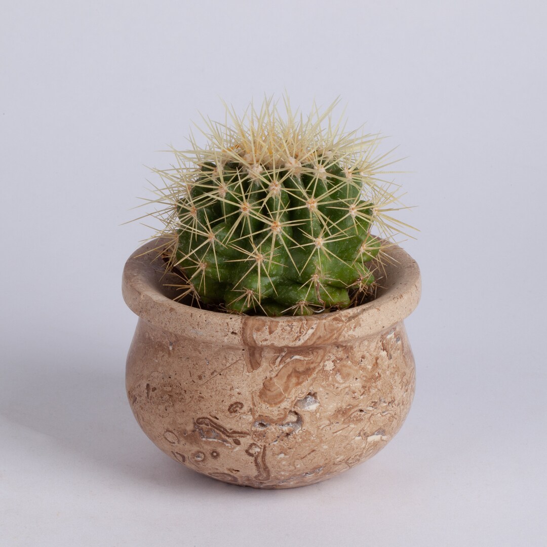Natural Travertine Succulent Pot Brown-yellow-beige Marble, 3.5" - Etsy