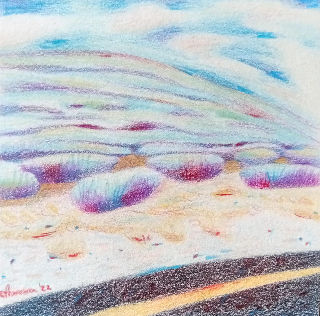 Roadside Chaparral in San Diego: Original Illustration in Colored ...