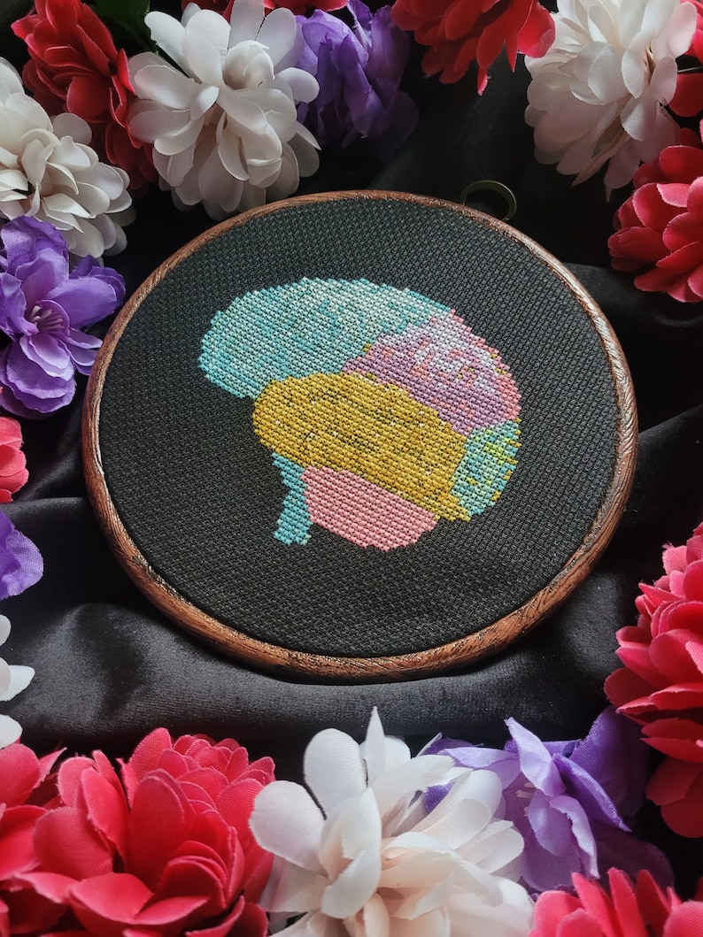 Human Brain Cross Stitch Pattern Anatomy Human Anatomy - Etsy