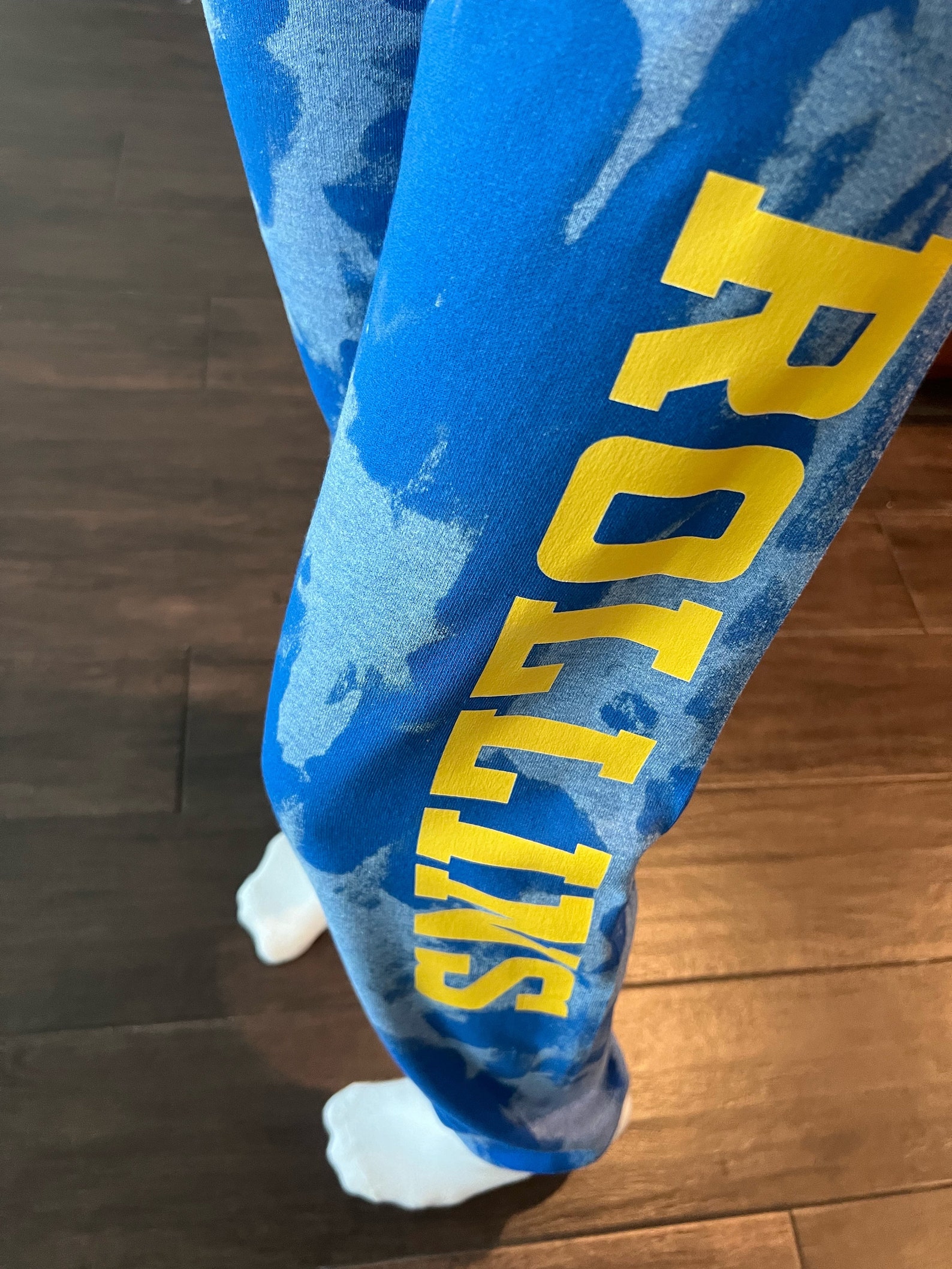 Team Sport Sweatpants, Cheer School Pants, Logo School Sweatpants ...