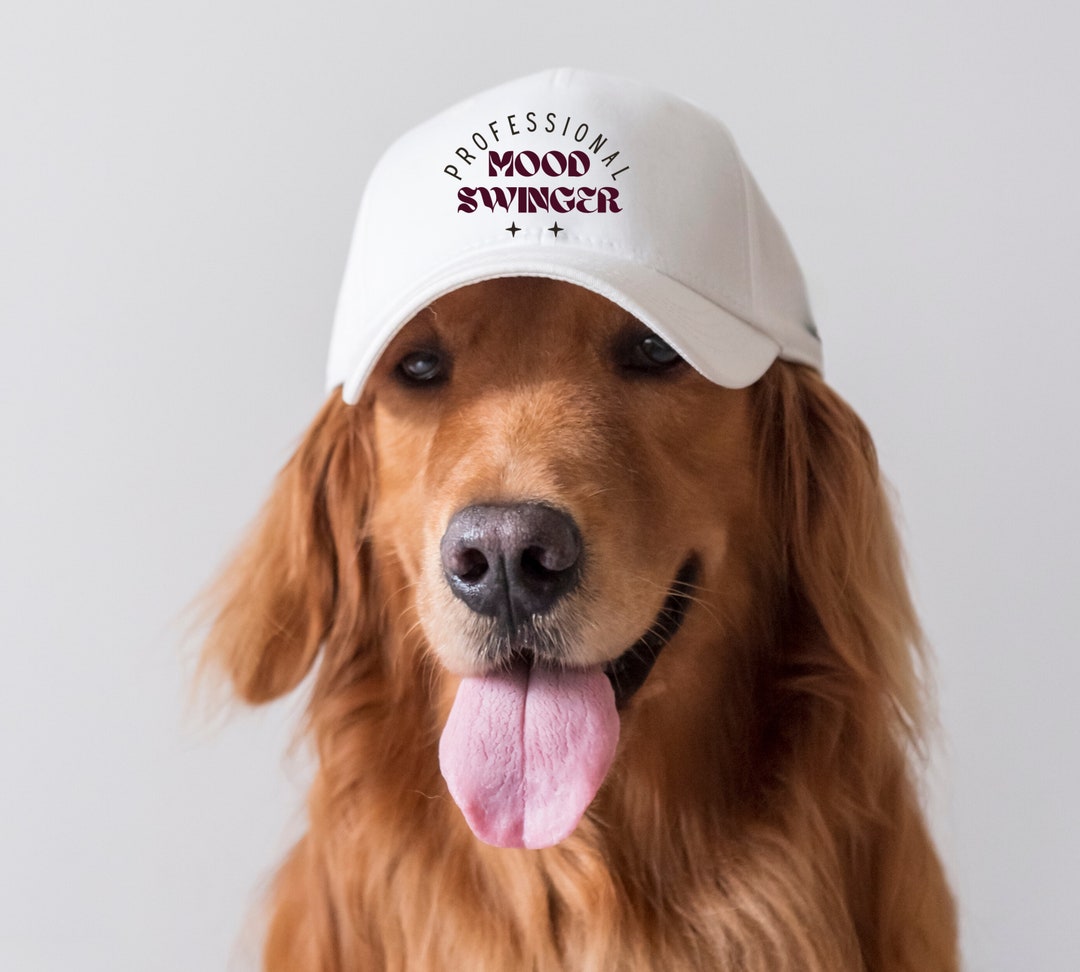 Mood Swinger Baseball Cap Fun Baseball Cap Woman Menopause Gift Funny ...