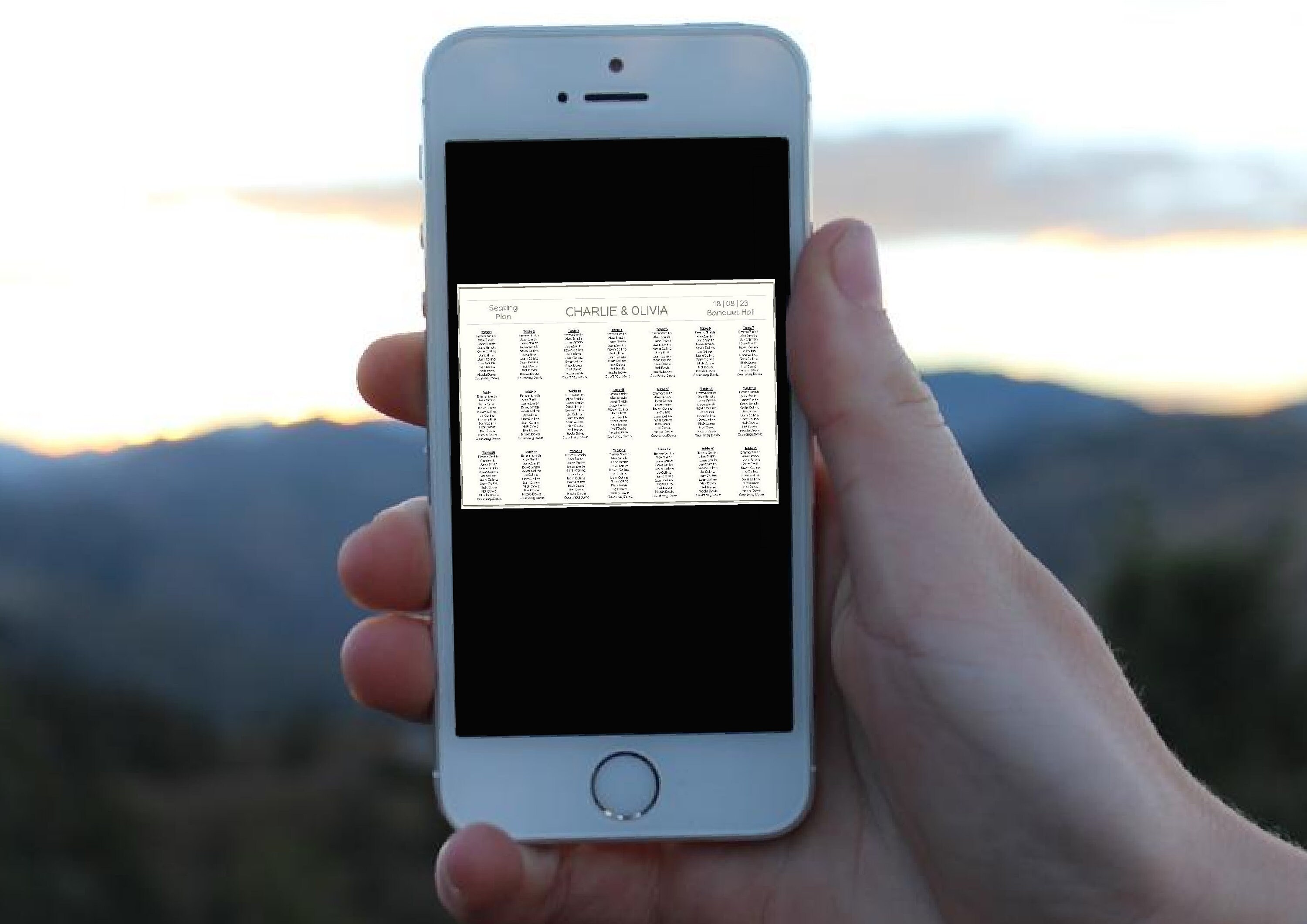 Digital Personalised Table Seating Plan Template Landscape - Etsy