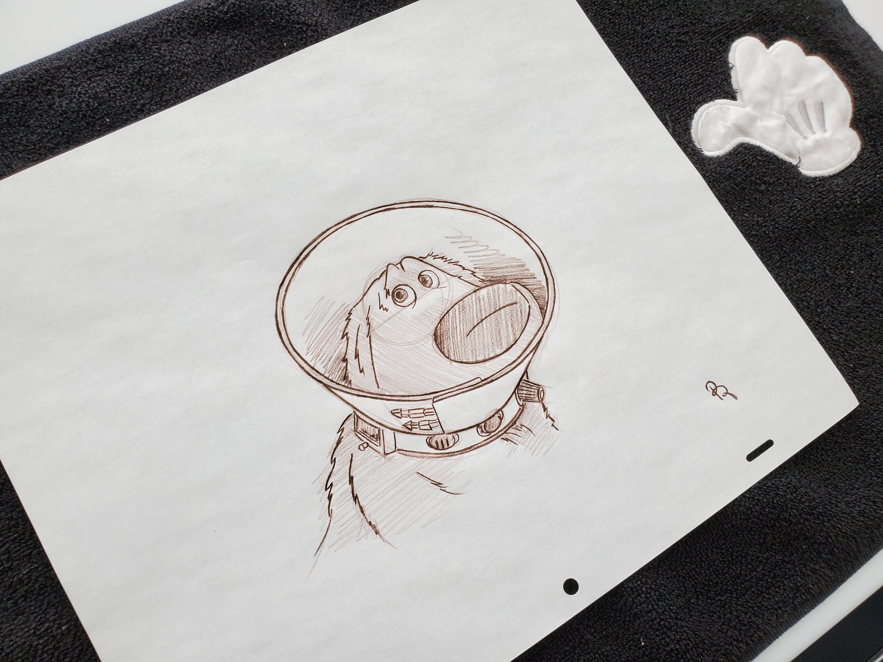 Disney Pixar Dug Cone of Shame Character Drawing/sketch - Etsy