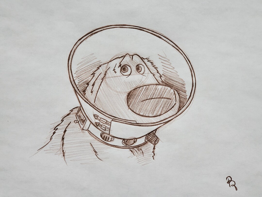 Disney Pixar Dug Cone of Shame Character Drawing/sketch Animation Art ...