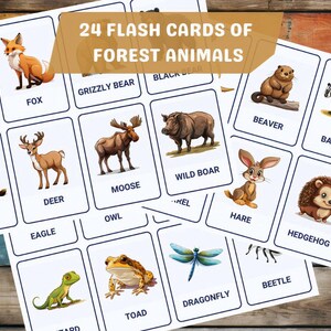 Animals 72 Montessori Flash Cards of Forest, Jungle, and Farm Animals 3 ...