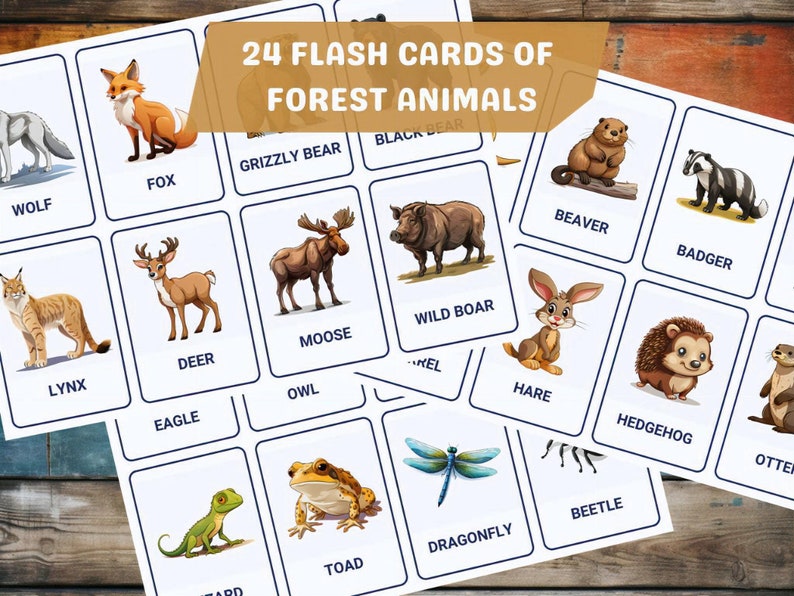 Animals 72 Montessori Flash Cards of Forest, Jungle, and Farm Animals 3 ...