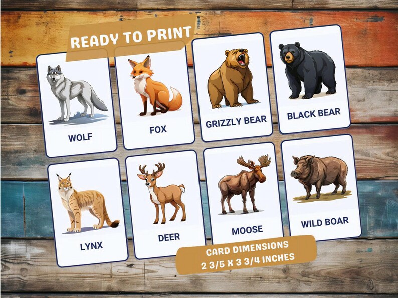 Animals 72 Montessori Flash Cards of Forest, Jungle, and Farm Animals 3 ...