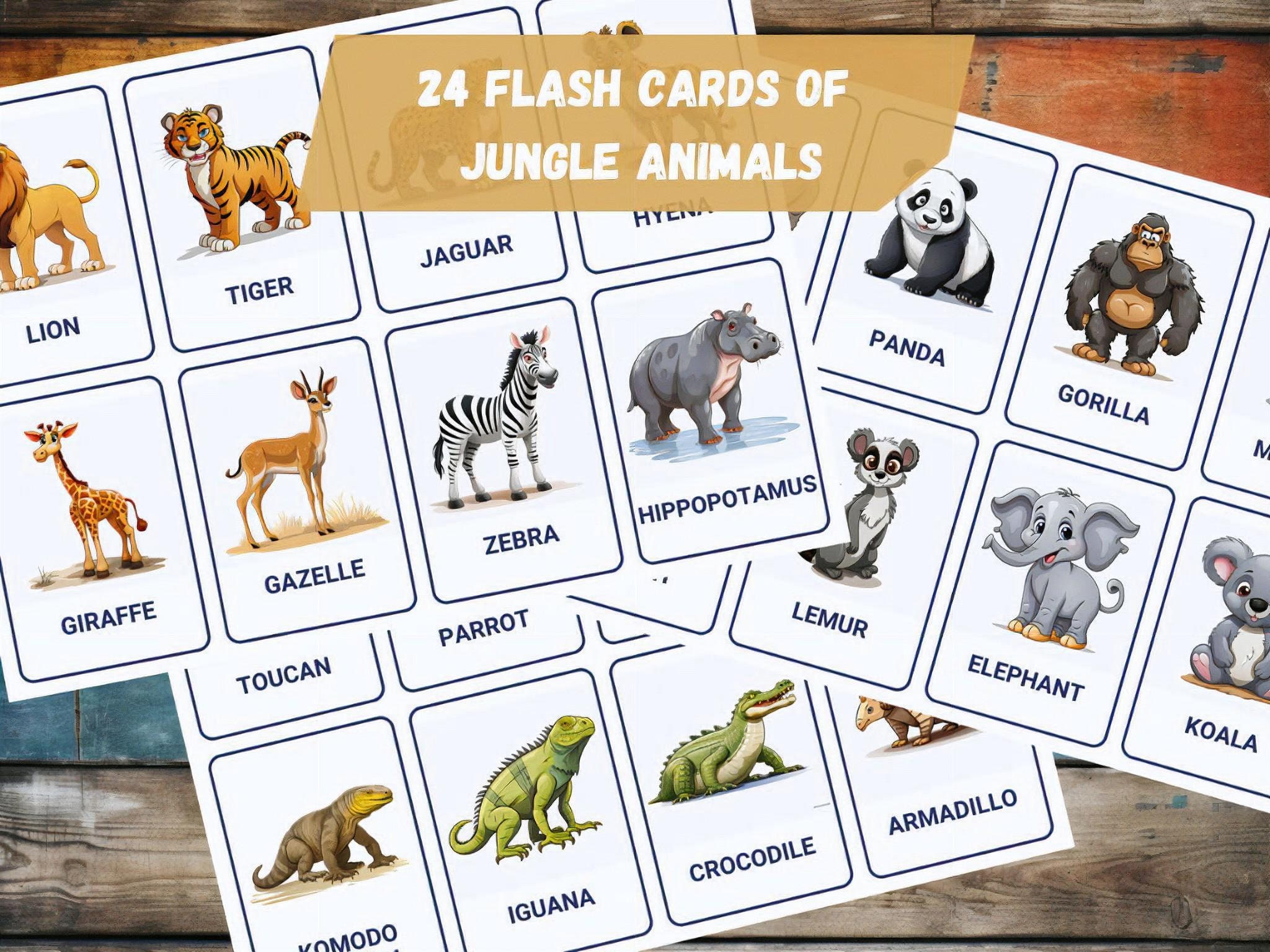 Forest and Jungle Animals 48 Montessori Flash Cards 3 Part Nomenclature ...