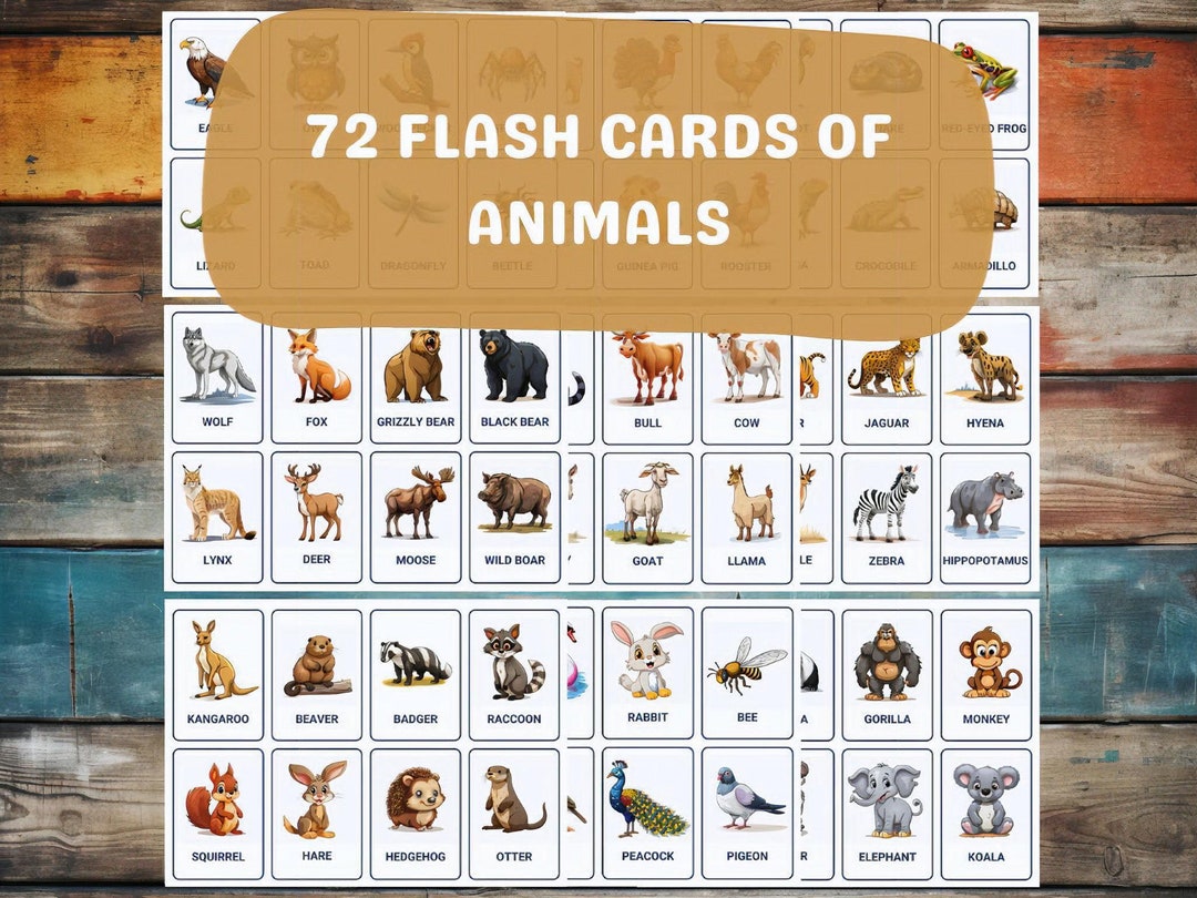 Animals 72 Montessori Flash Cards of Forest, Jungle, and Farm Animals 3 ...
