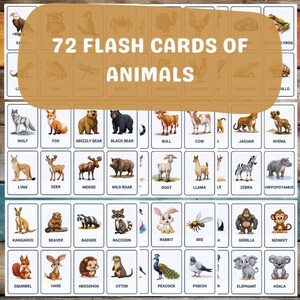 Animals 72 Montessori Flash Cards of Forest, Jungle, and Farm Animals 3 ...