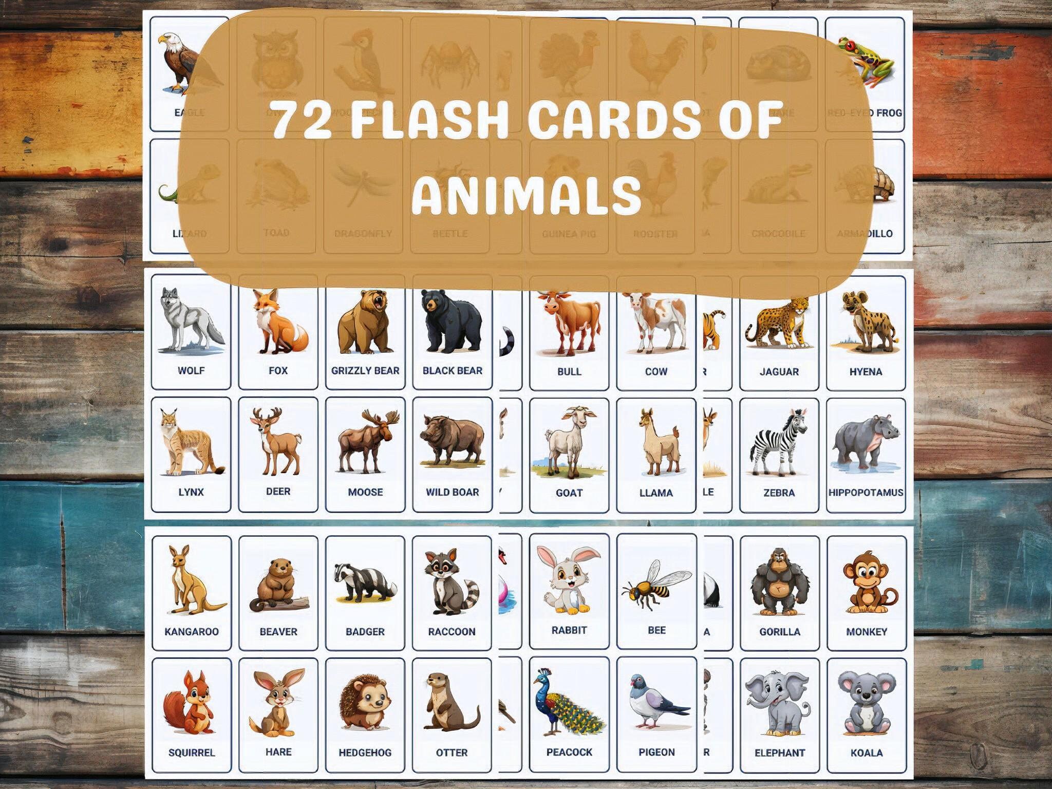 Animals 72 Montessori Flash Cards of Forest, Jungle, and Farm Animals 3 ...