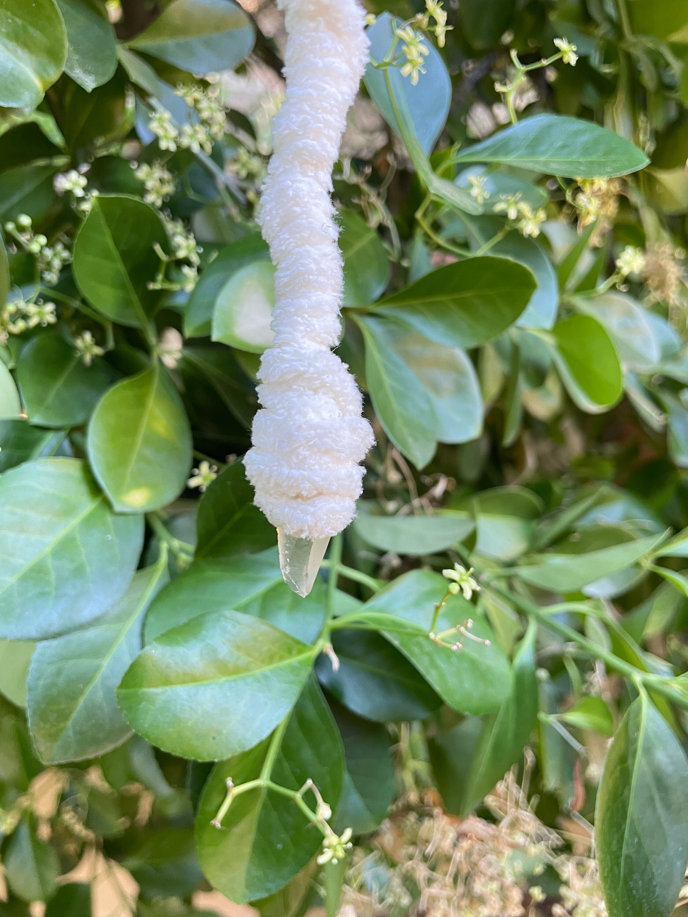 Avatar the Way of Water Inspired Hair Inserts/song Chords - Etsy