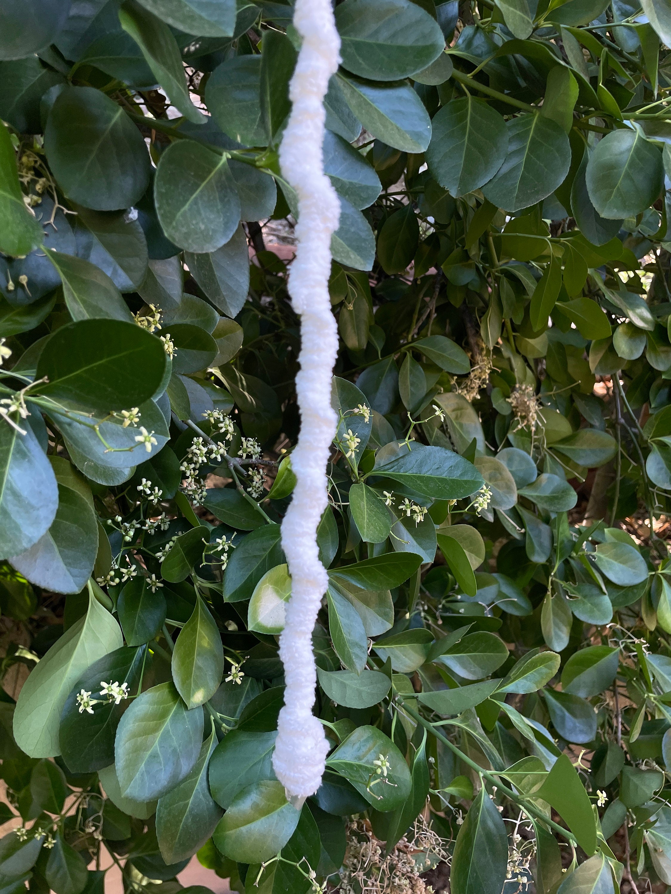 Avatar the Way of Water Inspired Hair Inserts/song Chords - Etsy