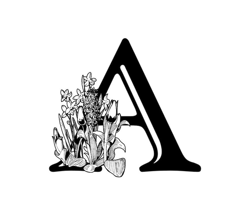 Floral Monogram Letters, Alphabet Vector SVG, PNG - Etsy