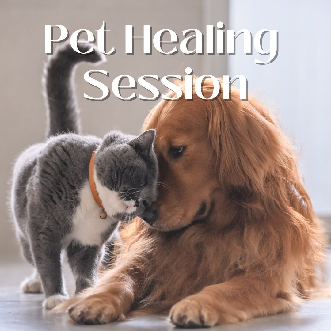 Pet Healing Session anxiety, Depression, Stress, Infections, Ailments ...