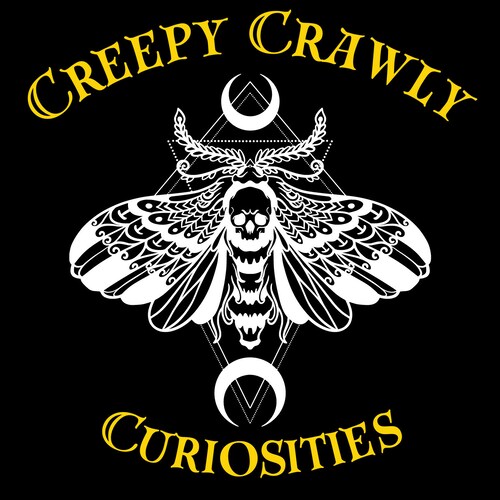 CreepyCrawlyCurios - Etsy
