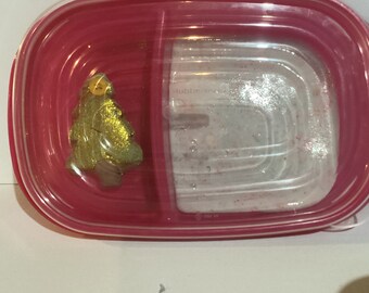 Orange Juice DIY Clay Slime 8 Oz - Etsy