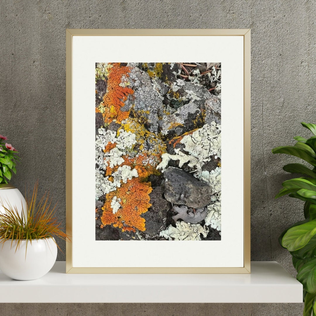 Moss and Lichen Wall Art Textured Watercolor Matte Posters - Etsy