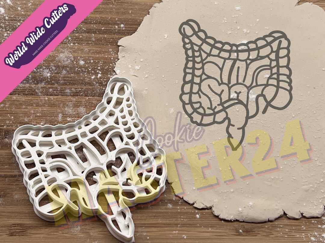 Intestinal Cookie Cutter Biology Cookie Cutters Free Shipping - Etsy