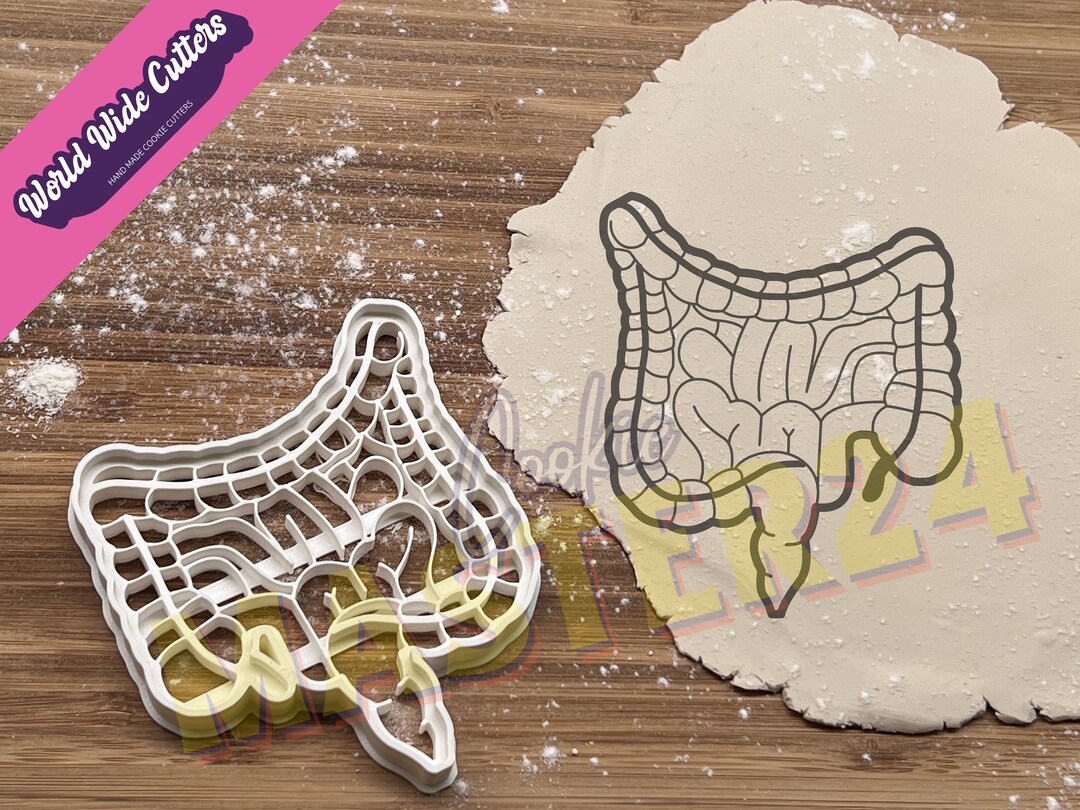 Human Intestine Cookie Cutters Biology Cookie Cutters Free Shipping - Etsy