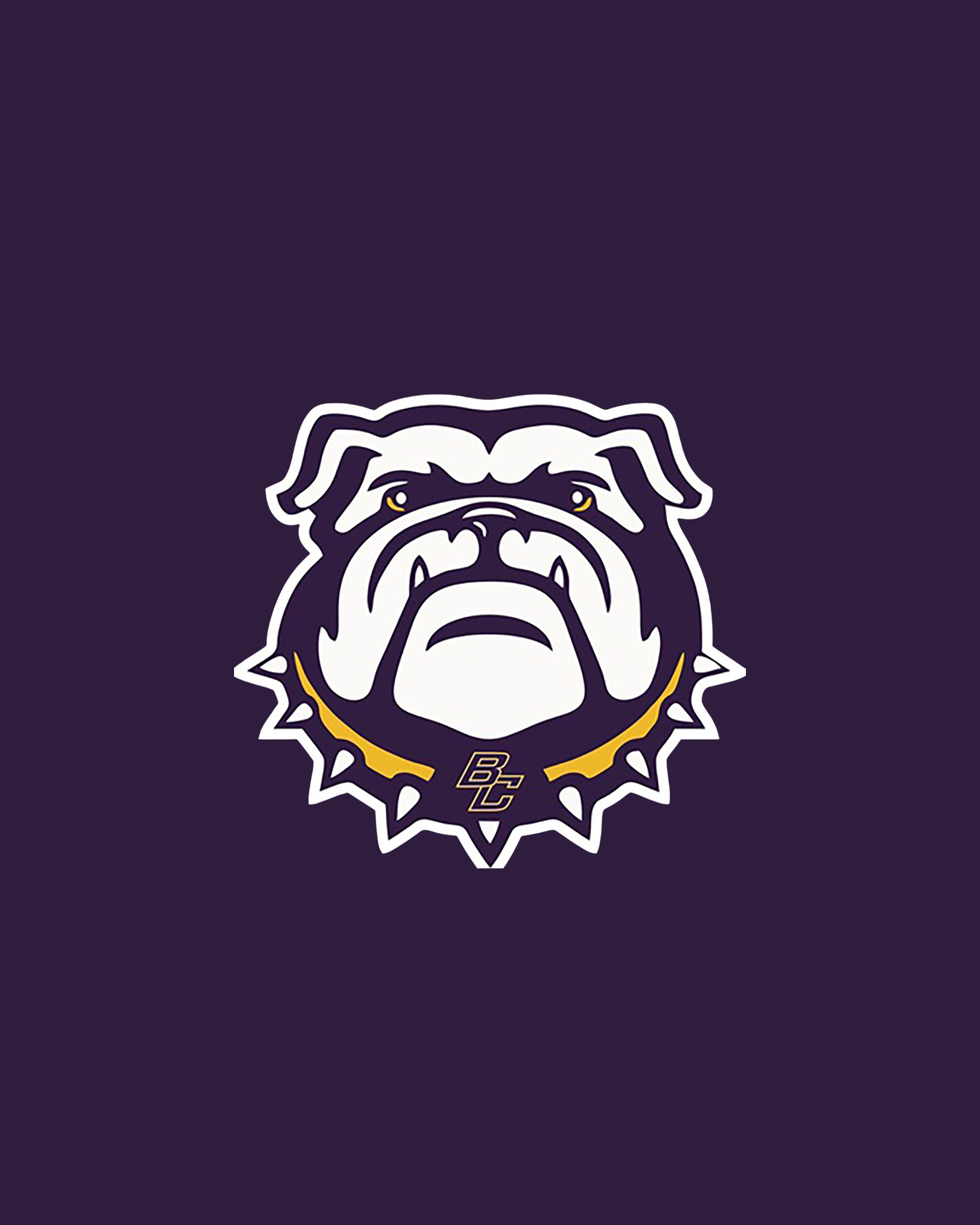 Bloom Carroll Logo Bloom Carroll Elementary School Opens Doors At